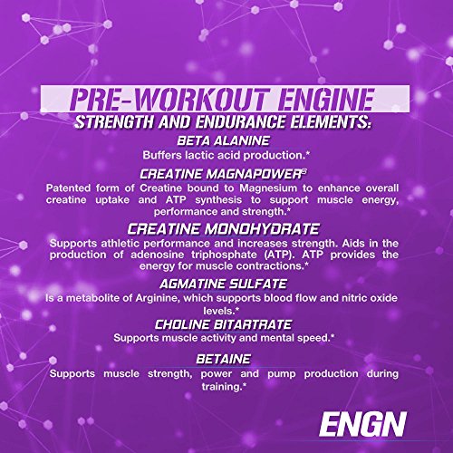 Snapklik.com : EVL Intense Pre Workout