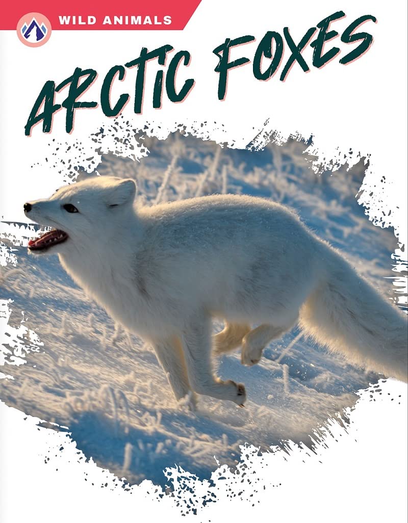 Arctic Foxes (Wild Animals): Megan Gendell: 9781637384688: Amazon.com ...
