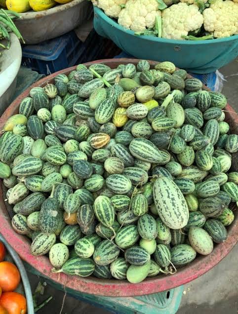 EMKOT Desi Kachri Quality Fruit Seeds-AM33N-200Seeds : Amazon.in ...