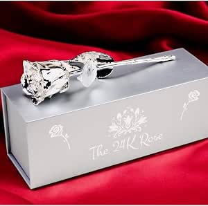 Amazon.com: The24kRose, 100% Real Rose Dipped in Silver, Small Bud ...