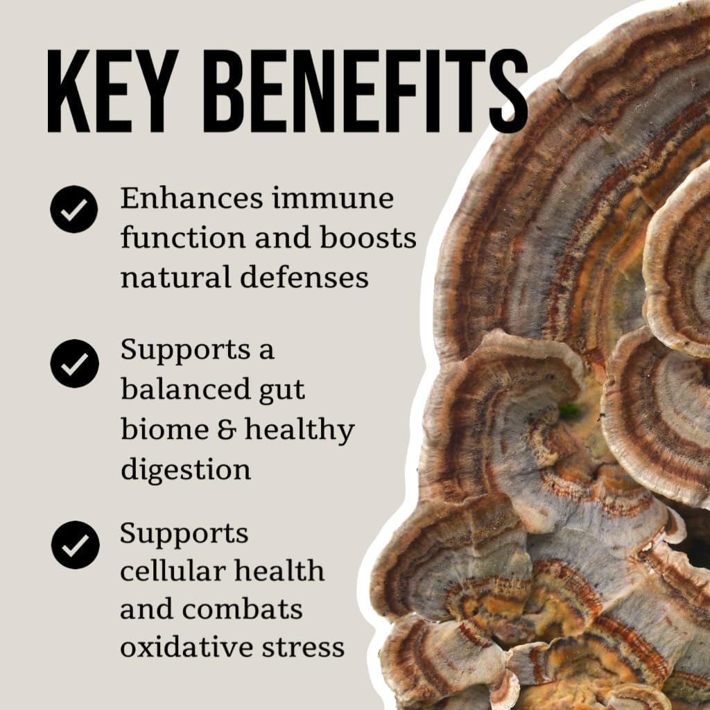 Snapklik.com : North Spore Organic Turkey Tail Tincture Mushroom ...