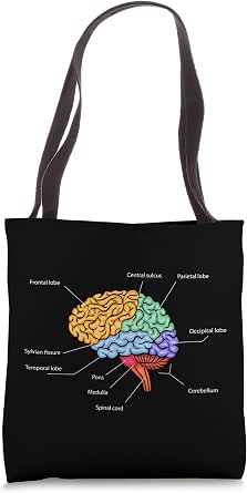 Amazon.com: Neurologist Anatomy of The Brain Neurosurgeon Neurology ...