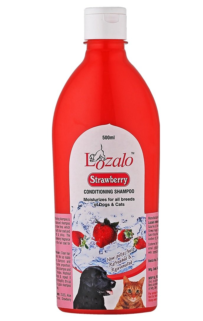 Lozalo Shampoo, 500ml, Strawberry : Amazon.in: Pet Supplies