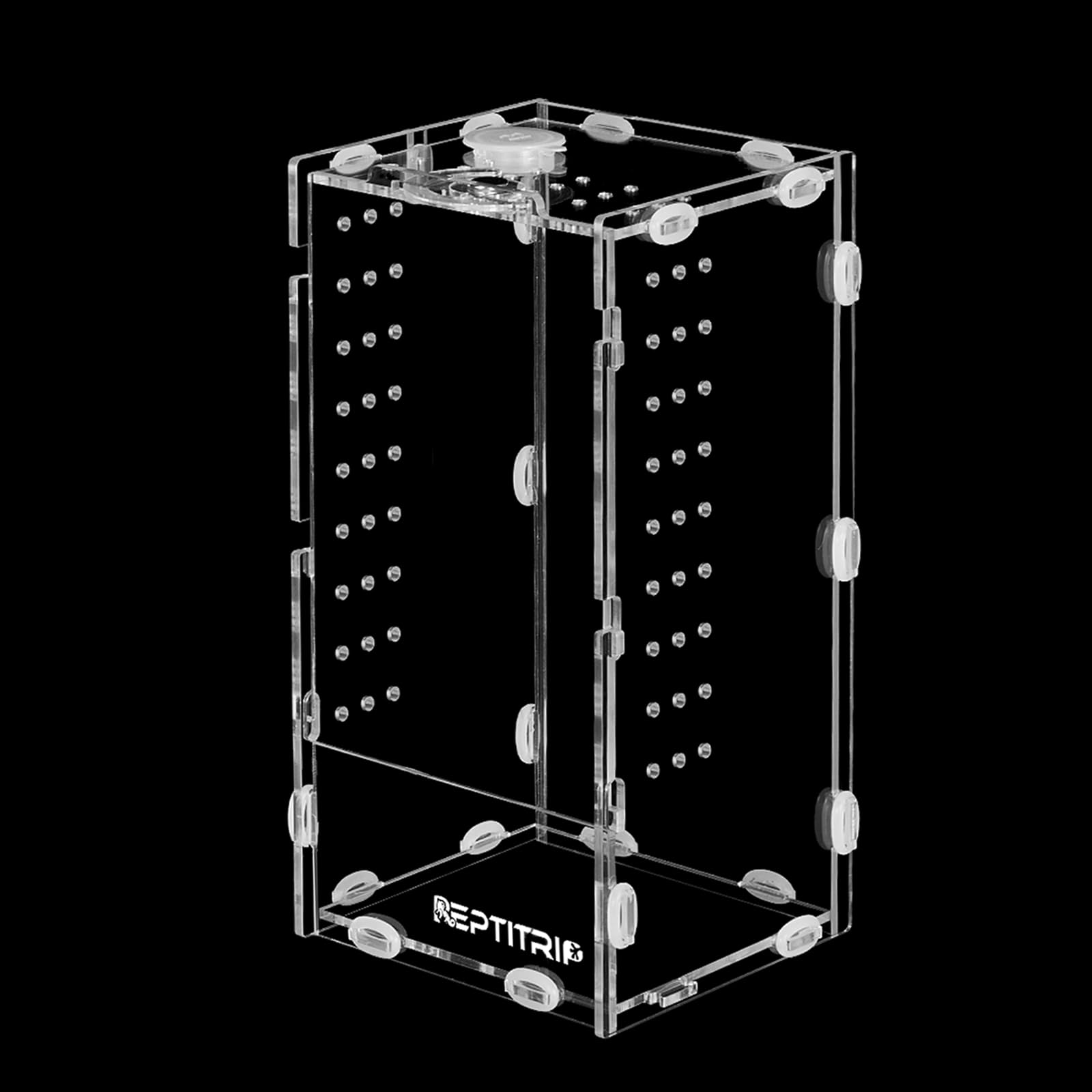 Snapklik.com : Jumping Spider Enclosure, Tarantula Larvae Enclosure ...