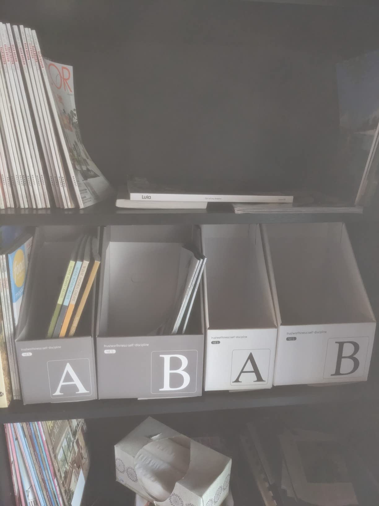 Amazon.com : Cardboard Magazine File Holders, Decorative Book Box for ...