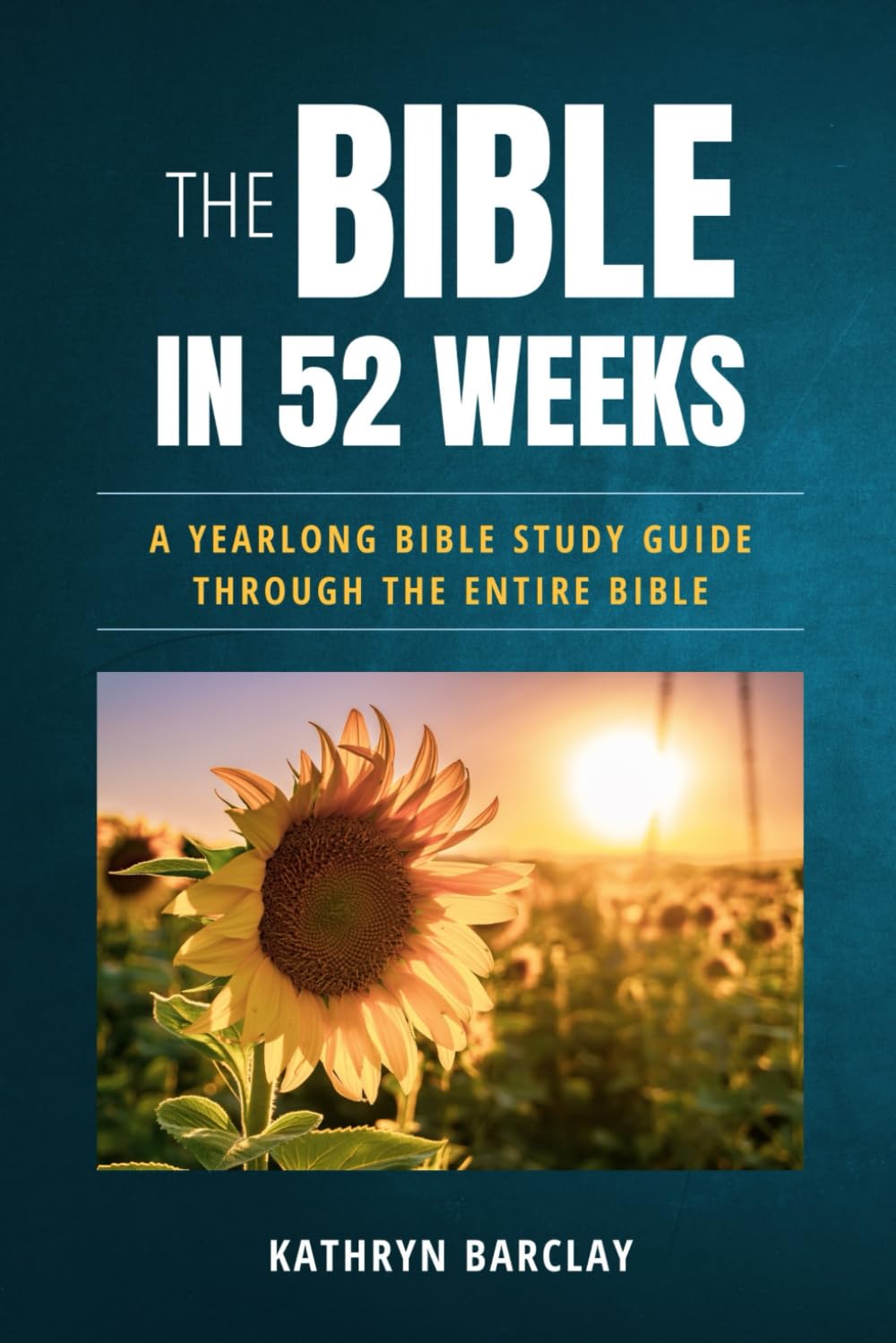 The Bible in 52 Weeks: A Yearlong Bible Study Guide Through The Entire ...