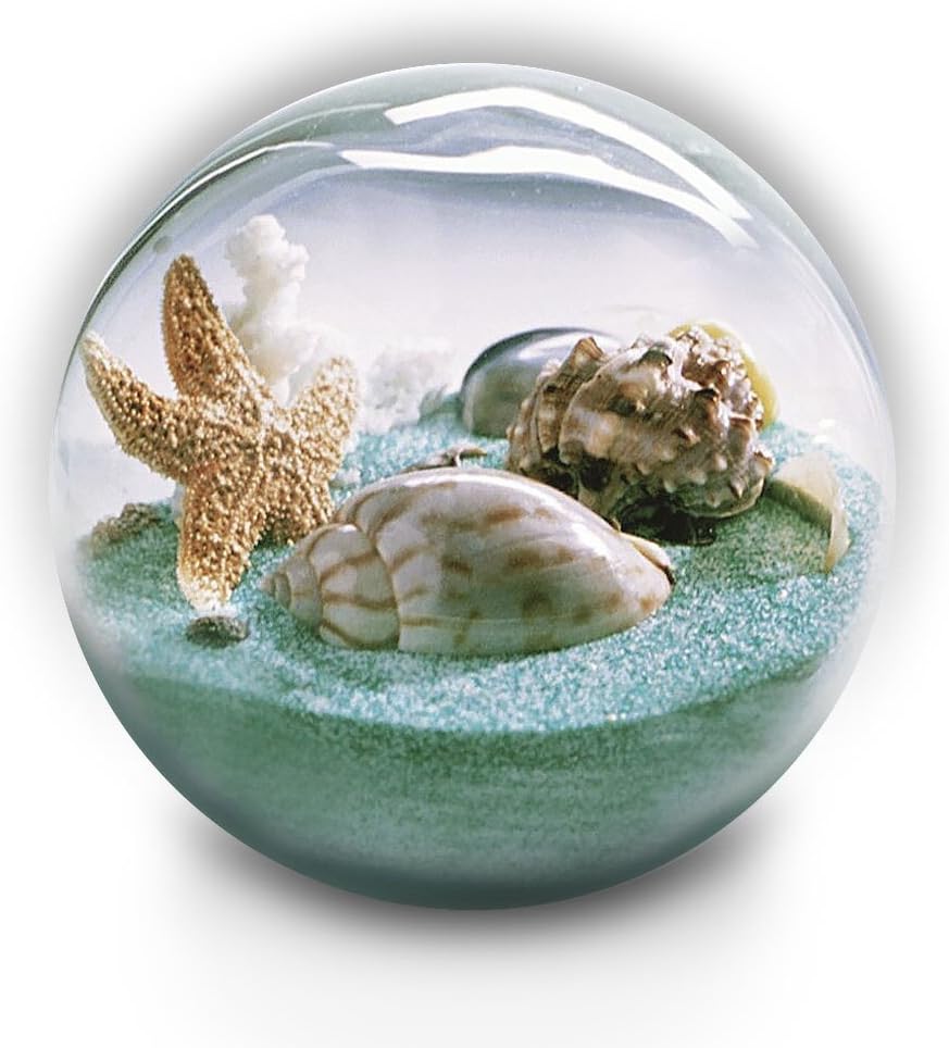 Amazon.com: Sandglobelove: Collectible Sand and Seashell Sandglobe ...