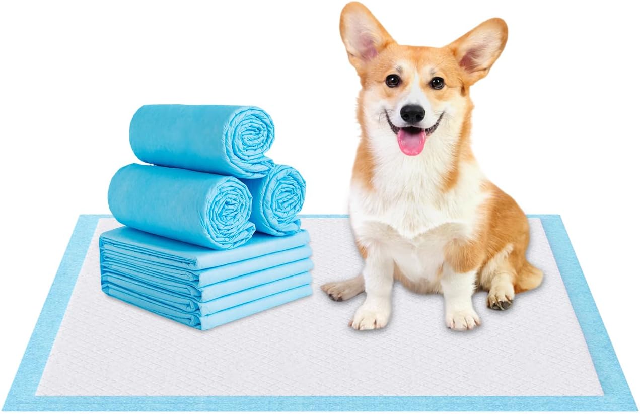 Amazon.com: Absorbz Optimum Training Pads for Dogs, 100 ct. Large 24 ...