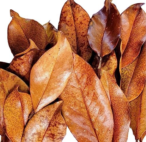 Elizabeth’s Old Maple Home's Amazon Page