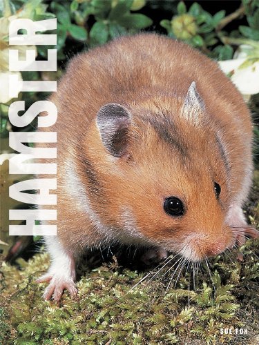 Amazon | Hamsters (English Edition) [Kindle edition] by Fox, Sue ...