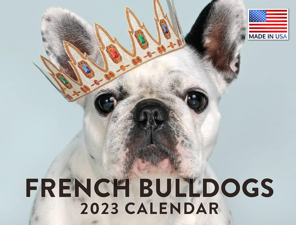 Amazon.com: French Bulldog Calendar 2023 Monthly Wall Hanging Calendars ...