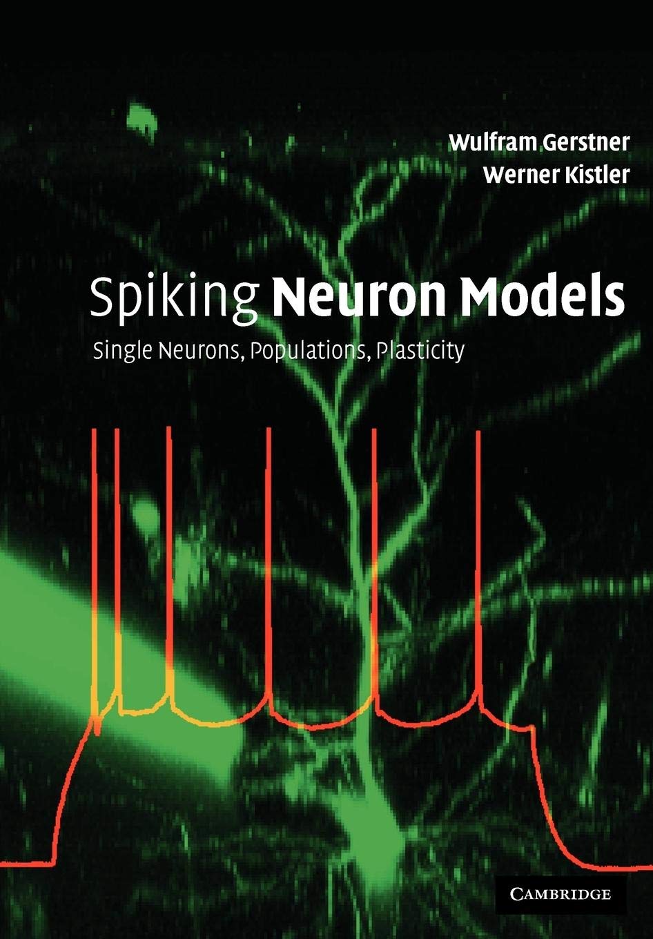 Amazon | Spiking Neuron Models: Single Neurons, Populations, Plasticity ...
