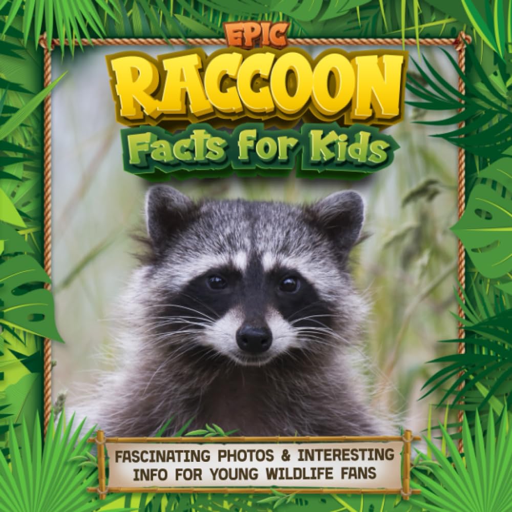 Raccoon Facts For Kids English Abc Animals For Kids | Raccoon Fun