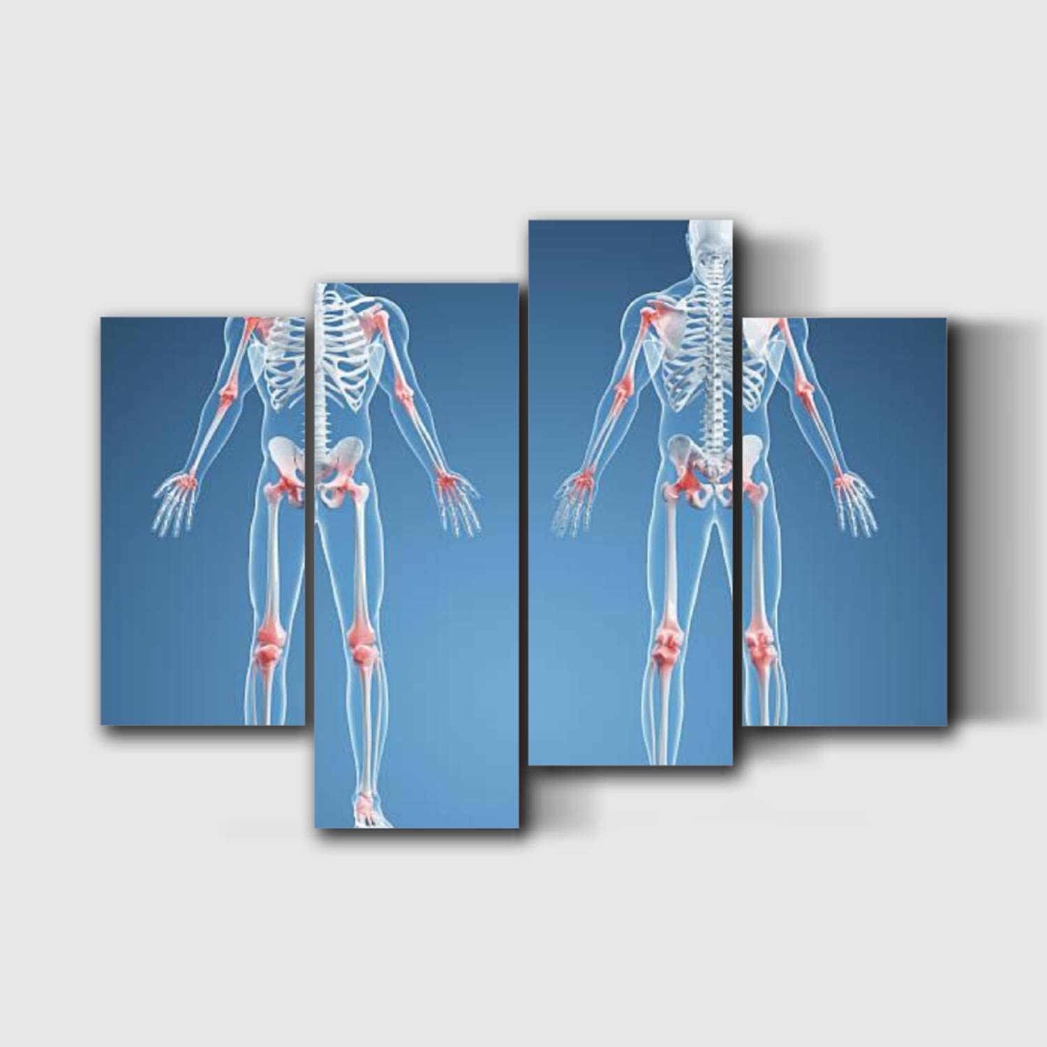 Snapklik.com : Orthopedic Human Anatomy Medical Poster Joint Pain Wall ...