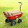 Amazon.com : Electric Powered Wheelbarrows – Heavy-Duty Garden and ...