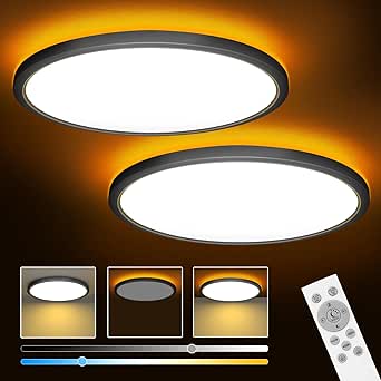 slochi 2pack 12in LED Flush Mount Ceiling Light Fixture with Remote ...