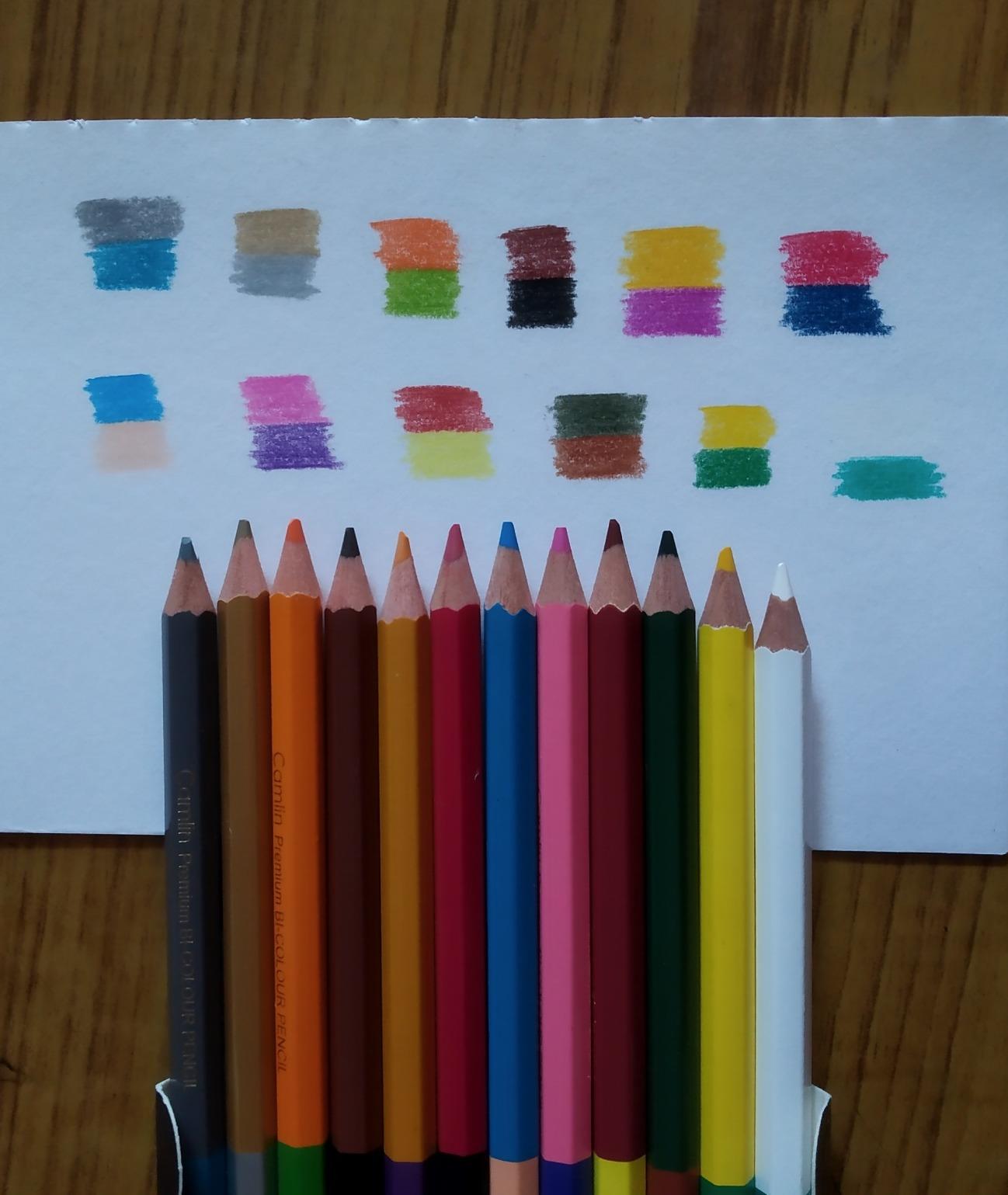 Camlin Kokuyo 4194560 Premium Bi-Color Pencil - 24 Shades : Amazon.in ...