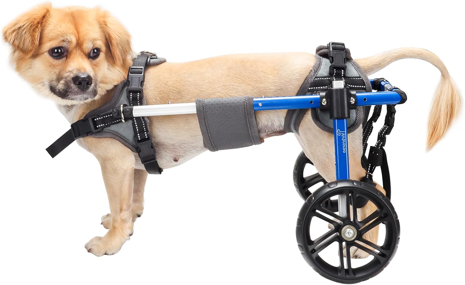Amazon.com : Virbraroo Dog Wheelchair for Back Legs with Upgraded All ...