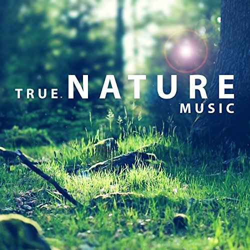 True Nature Music by Nature Music Nature Sound on Amazon Music - Amazon ...