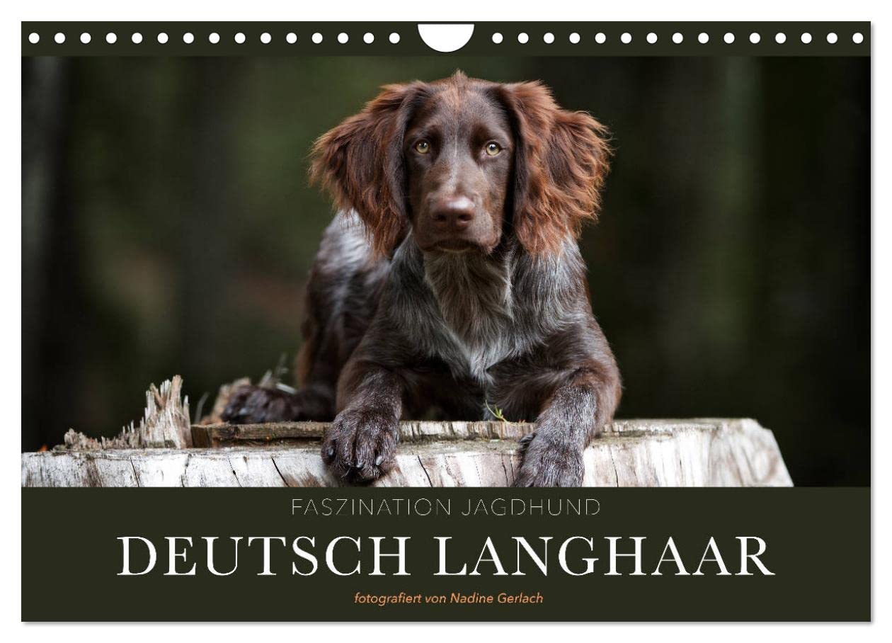 Jagdhund