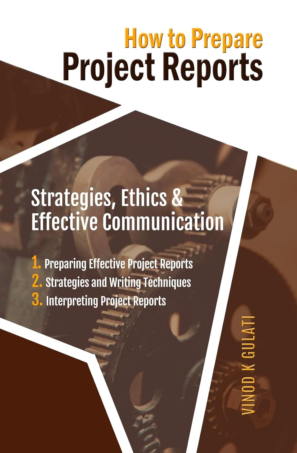 Amazon.com: HOW TO PREPARE PROJECT REPORTS: Preparing Effective Project Reports: Strategies and ...