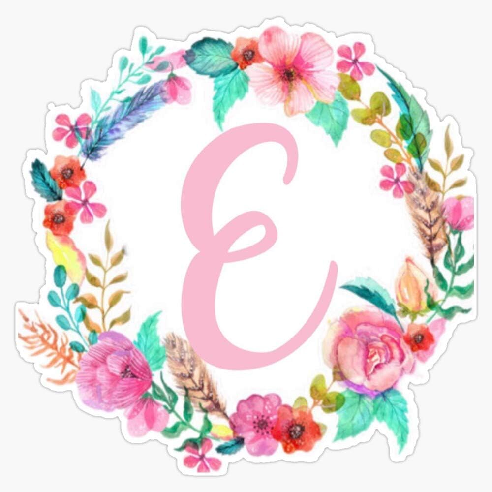 Amazon.com - The Letter E Vinyl Waterproof Sticker Decal Car Laptop ...
