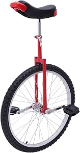 Amazon.com : YUNLAIGOTOP 24 Inch Wheel Unicycle, Unicycle Bike ...