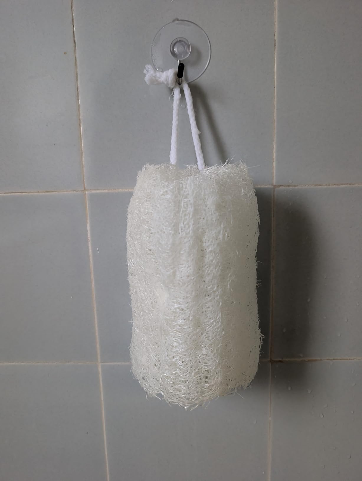 FAAY 4 Pcs Loofah Sponge: Natural Luffa Sponge Rejuvenating Your Skin ...