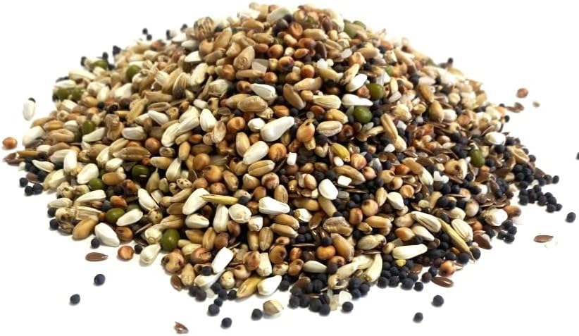 200g PIGEON CONDITION SEED MIXED BIRD FOOD SLJ : Amazon.co.uk: Pet Supplies
