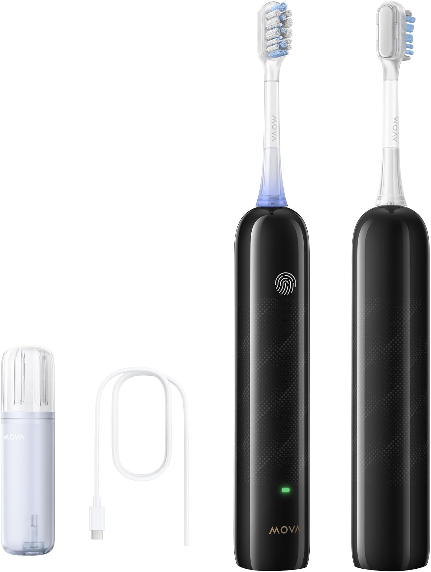 Amazon.com: Quip Rev 360 Oscillating Rechargeable Electric Toothbrush ...