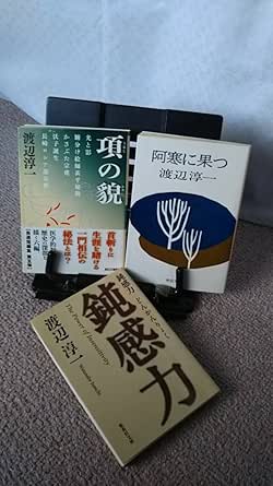 Amazon.co.jp: [Junichi Watanabe/Bunko Book Set of 3 Books]"Appearance ...