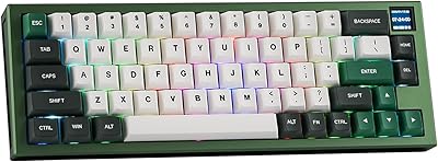 Amazon.com: Akko 5098B Wireless Gaming Keyboard with Screen, Ink Green ...