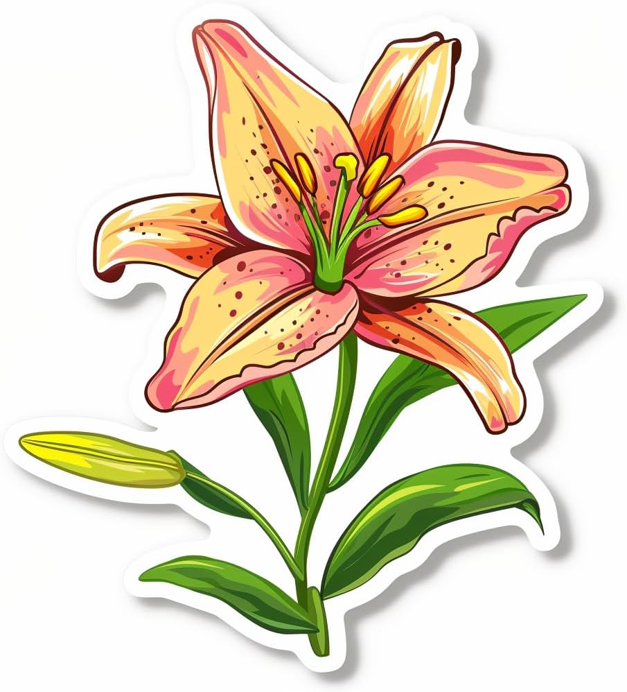 Amazon.com: Yoonek Graphics Sticker of a Lily Flower Majestic ...