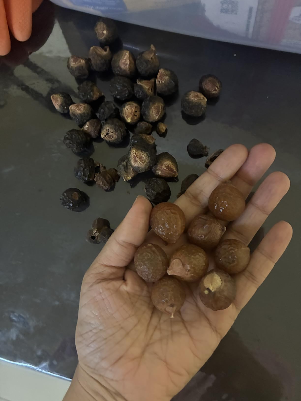 SFT Reetha Dried (Ritha) 1 Kg : Amazon.in: Beauty