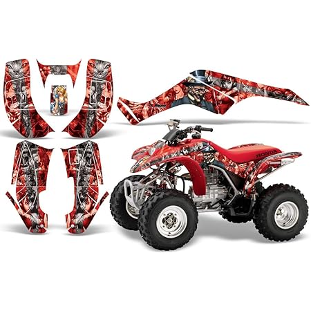 Amazon.com: Senge Graphics Kit Compatible with Honda 2001-2005 TRX ...