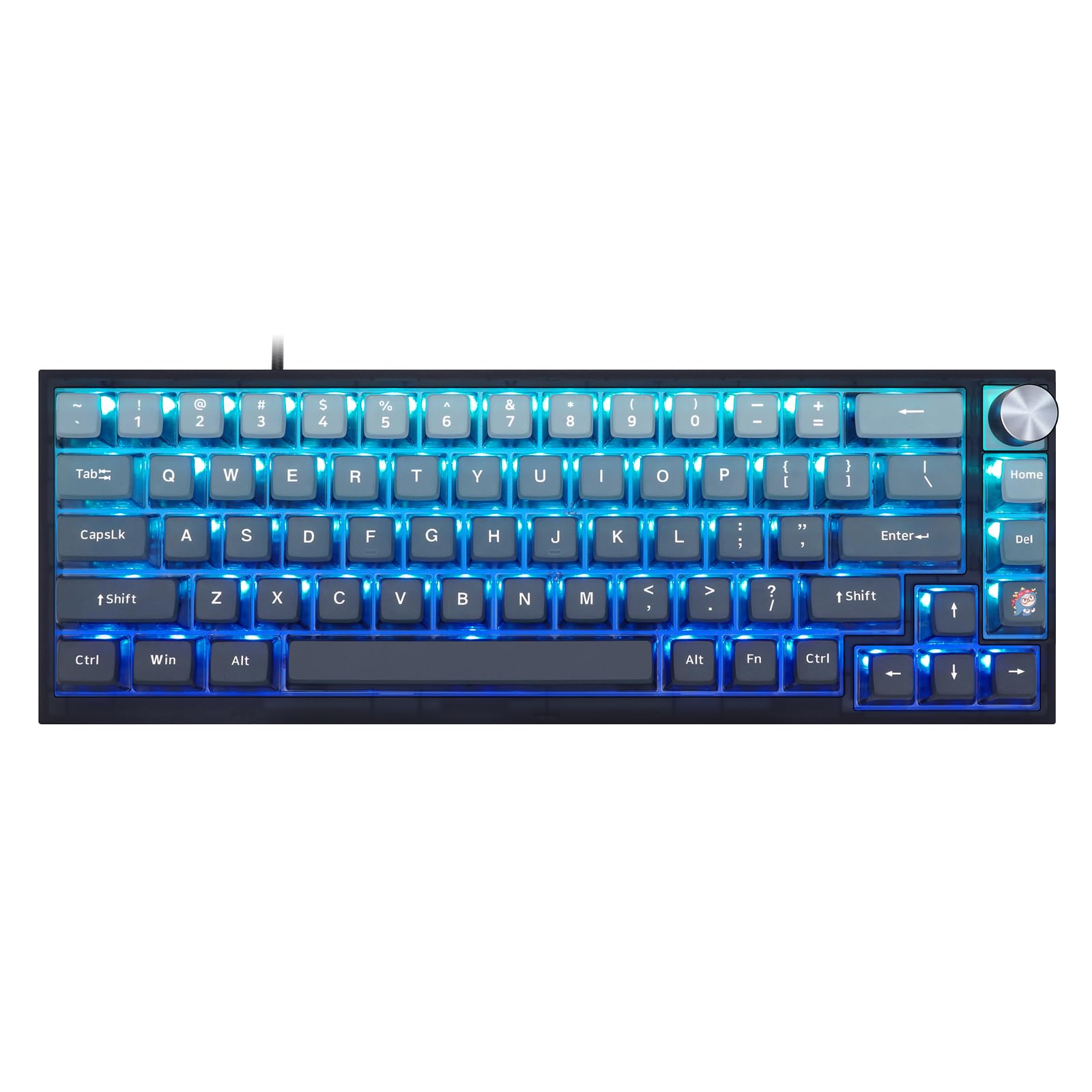 Amazon.com: MOLGRIA SKYLOONG GK68 Blue Backlit Gaming Keyboard with ...