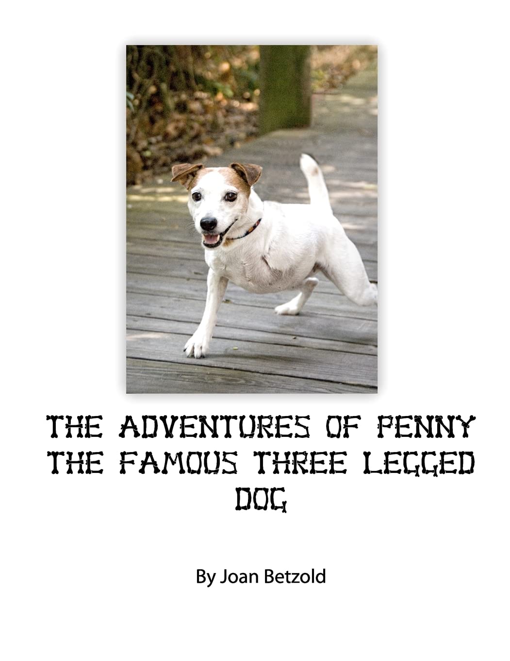 The Adventures of Penny the Famous Three Legged Dog: Children's book ...