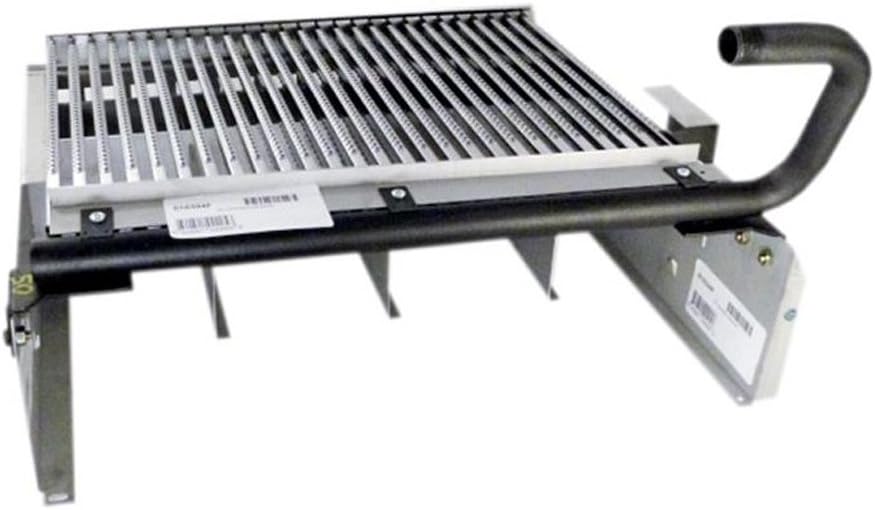 Amazon.com: Raypak Burner Tray with Burners R406A 010394F : Patio, Lawn ...
