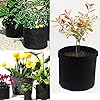 10 Pack Fabric Pots 10 Gallon, Breathable Thickened Nonwoven Grow Bags ...