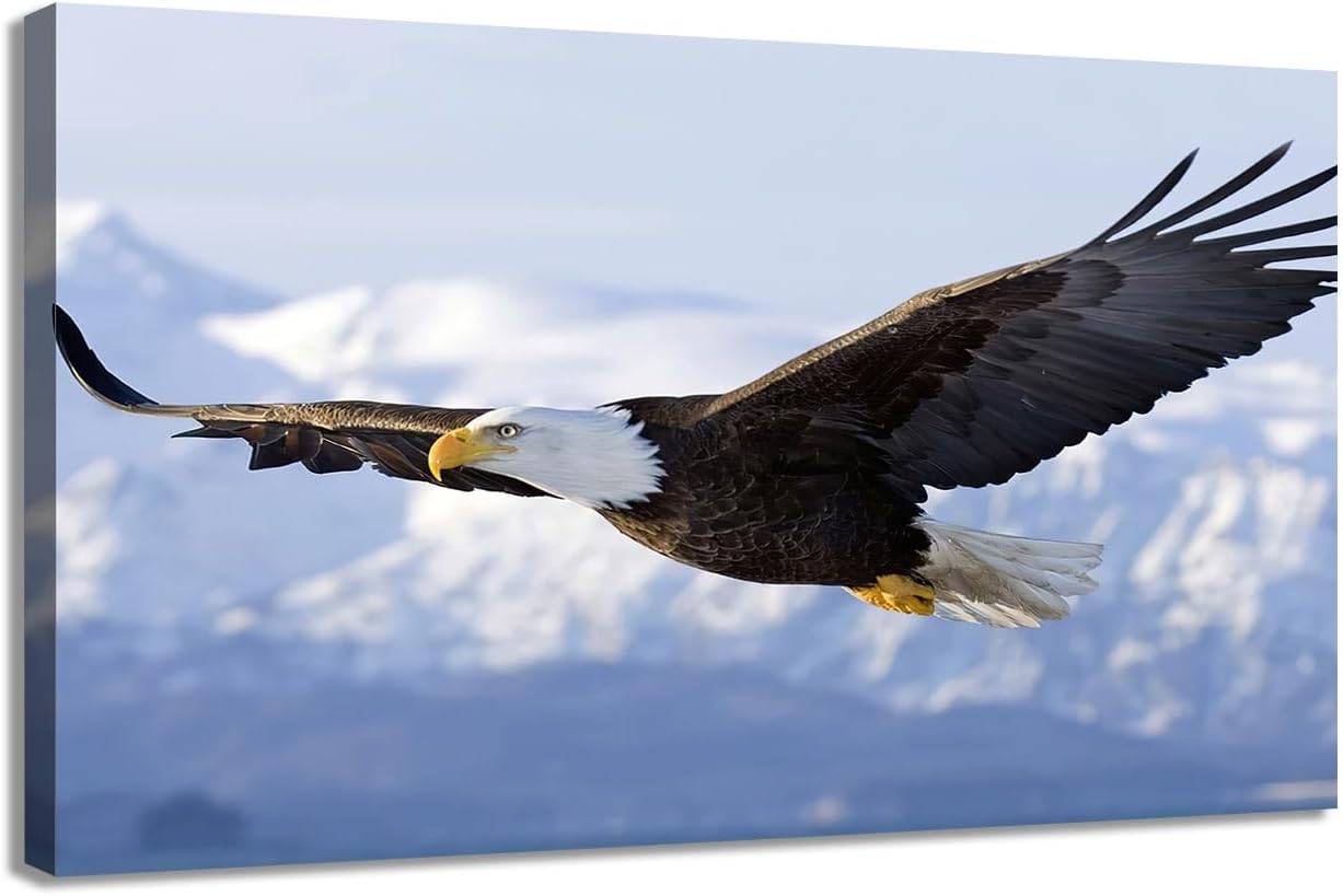 Amazon.com: Bald Eagle Poster, Flying Bird Wildlife, Canvas Wall Art ...