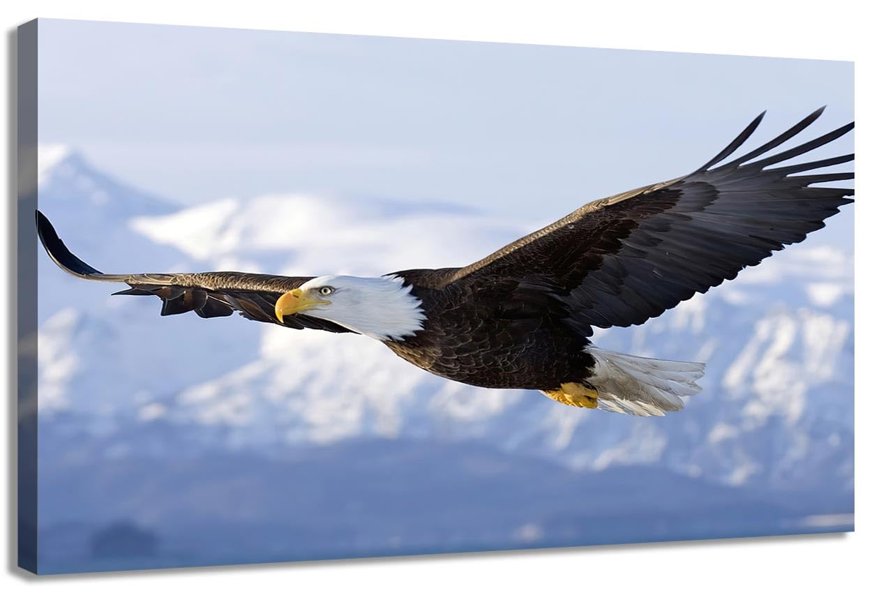Amazon.com: Bald Eagle Poster, Flying Bird Wildlife, Canvas Wall Art ...