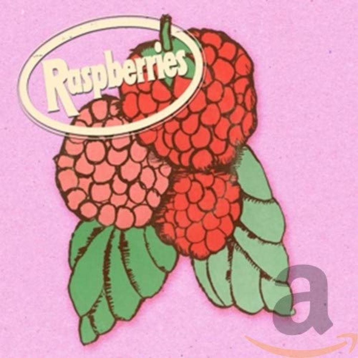 RASPBERRIES - Classic Album Box Set - Amazon.com Music