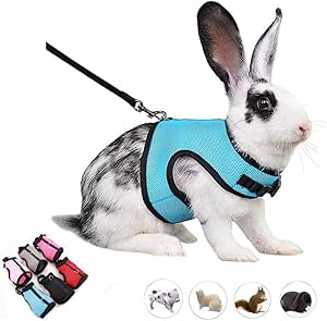 Amazon.com : Rabbit Leash and Harness Set Escape Proof, Bunny Vest ...