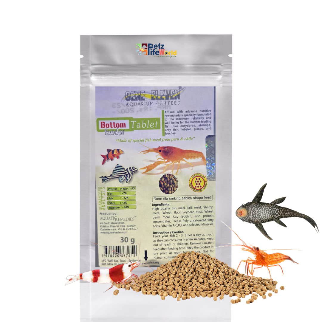 VAYINATO Aquatic Remedies Gene Eleven Bottom Tablet Feeder, 60G (30G ...