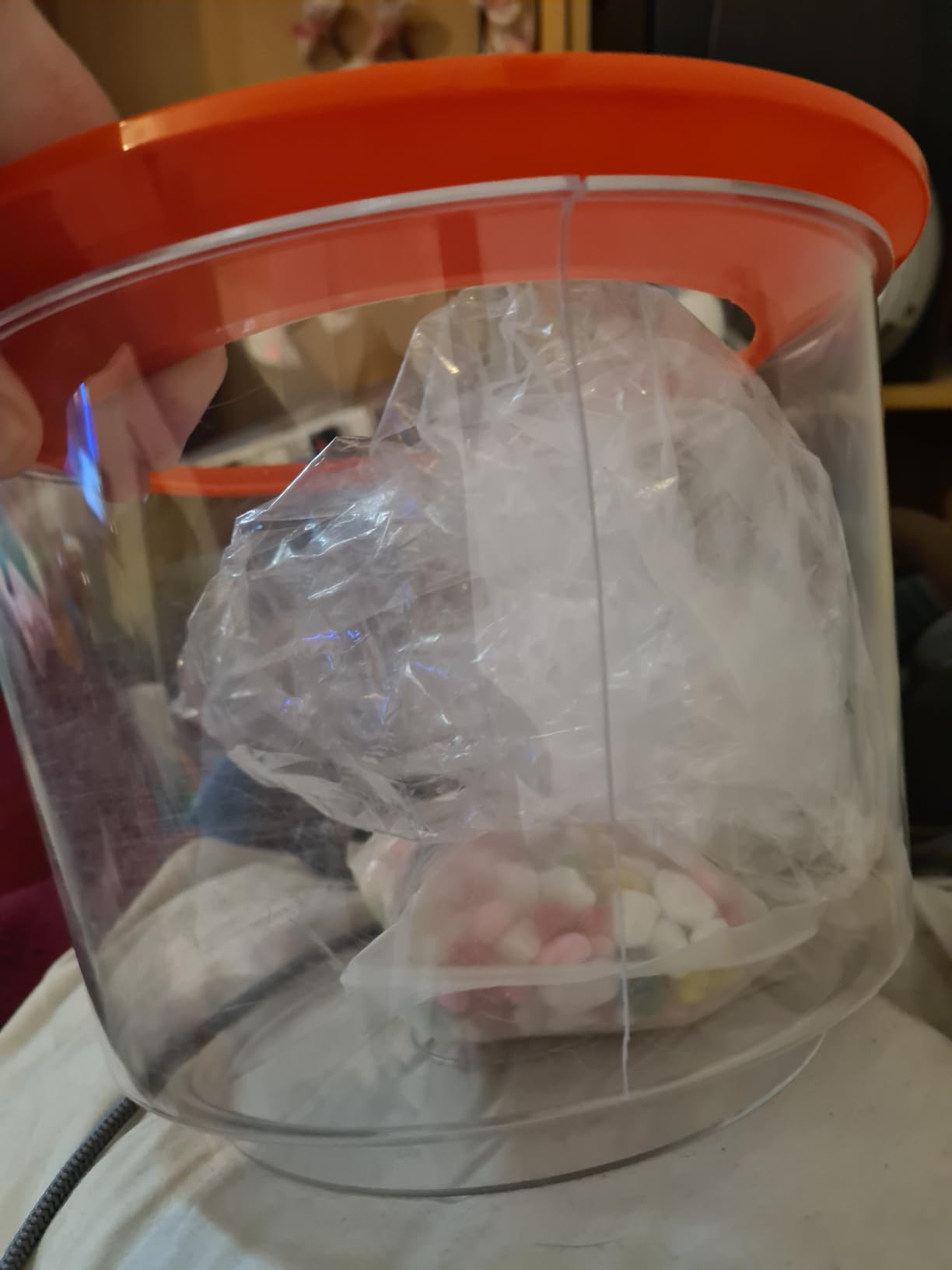 Pet Living Goldfish Bowl Strater Set Gold Fish Bowl with Ornamental ...