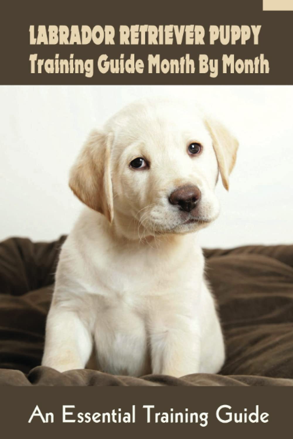 Buy Labrador Retriever Puppy Training Guide Month By Month: An ...