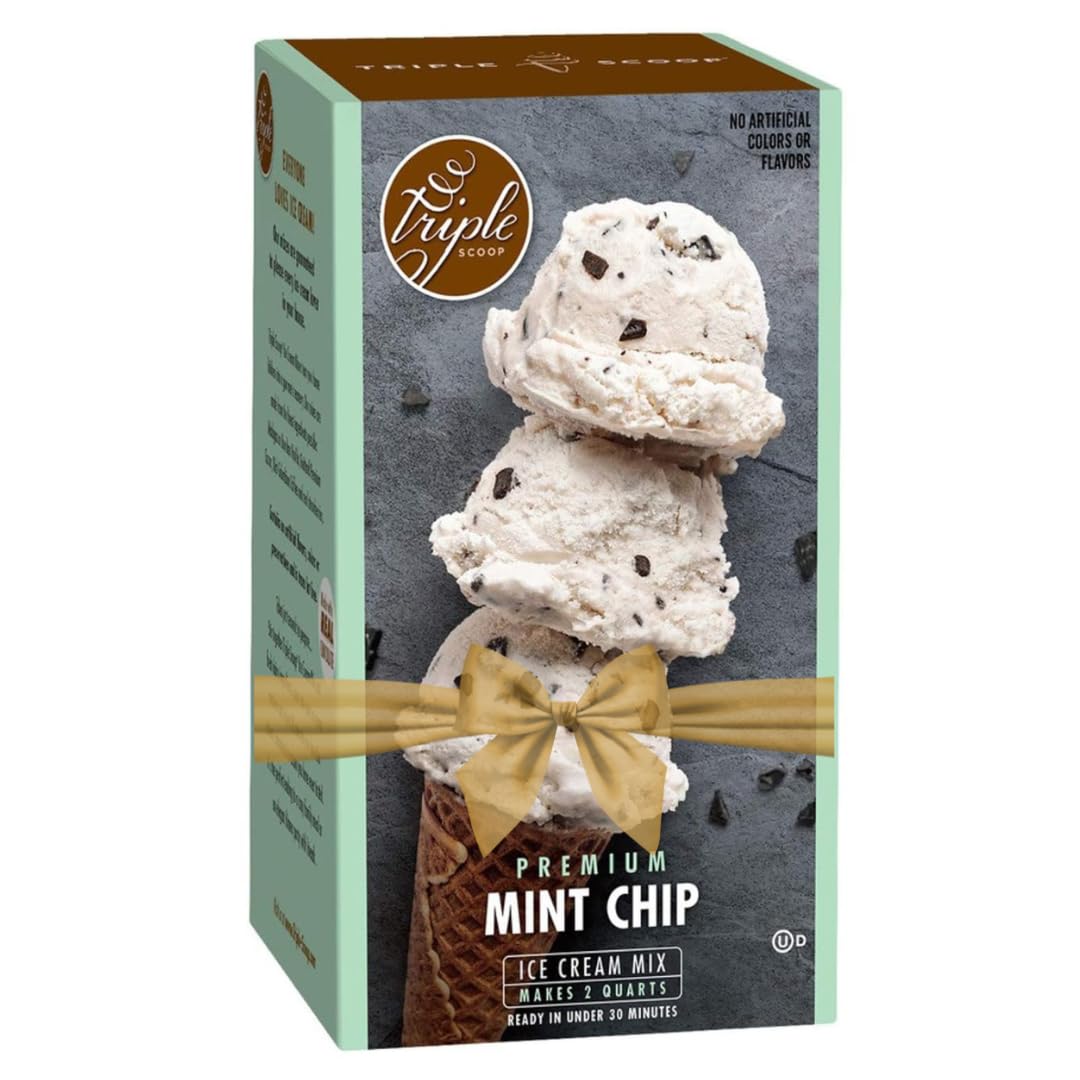 Mint Chocolate Chip Ice Cream Scoop