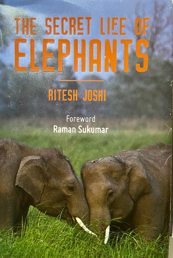 Buy THE SECRET LIFE OF ELEPHANTS Book Online at Low Prices in India ...