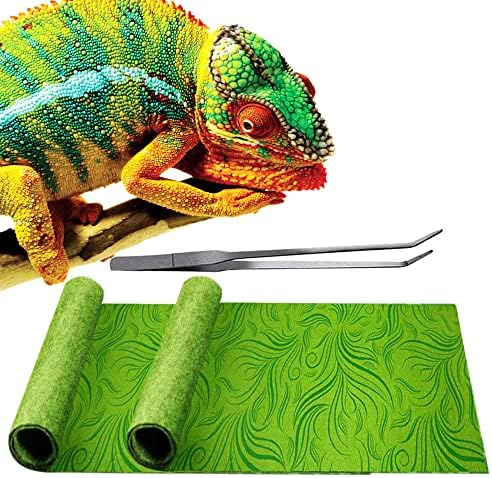 Amazon.com : REP BUDDY 2 Pack Reptile Carpet Desert Reptile Mat ...