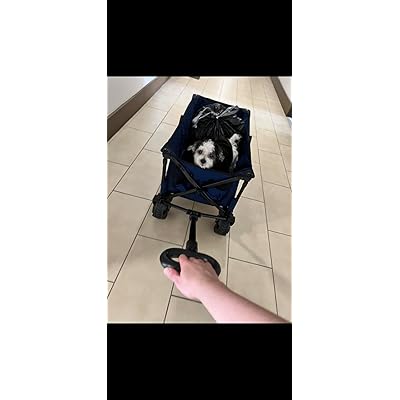 PORTAL Collapsible Folding Beach Wagon with Big India | Ubuy